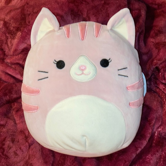 Squishmallows | Toys | Squishmallow Laura The Pink Tabby Cat Firm Price ...